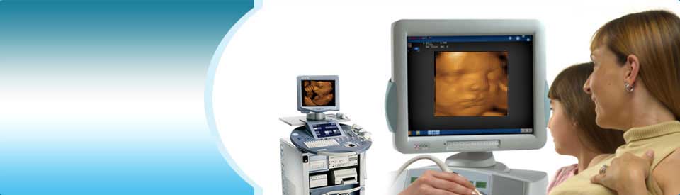 Ultrasound Training Leader In 3D 4D Ultrasound Training Business 